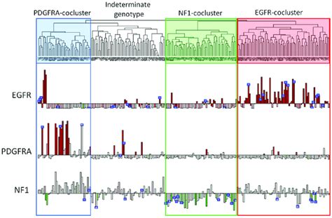unsupervised transcriptomal clustering of gbm from the tcga dataset