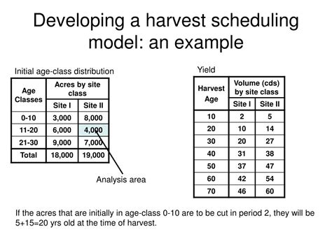 Ppt Forest Management With Linear Programming Powerpoint Presentation