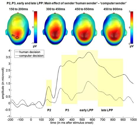 Main Effect Of The Communicative Sender Over The Central Cluster In The