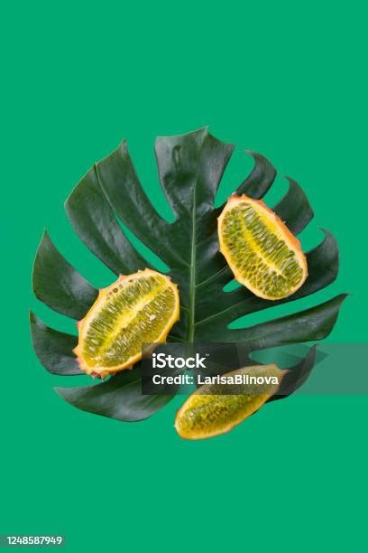 Daun Monstera Dan Buah Kiwan Kiwan Kivano Melon Terisolasi Dengan Latar Belakang Hijau Foto Stok