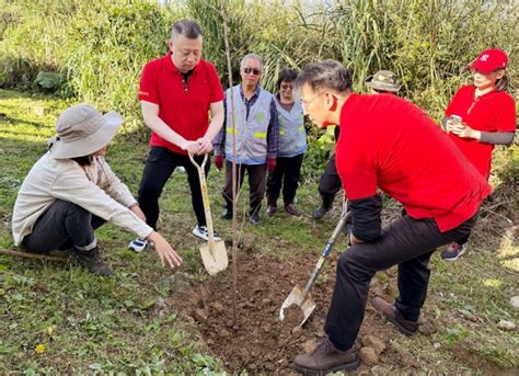 小樹計劃浪漫春櫻相聚兔仔坑 桃園遠百攜手樹醫生及里民啟動植樹修補照護山林永續環境