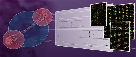 On The Identification Of Circulating Tumor Cells In Breast Cancer Journal Of Biomedical And