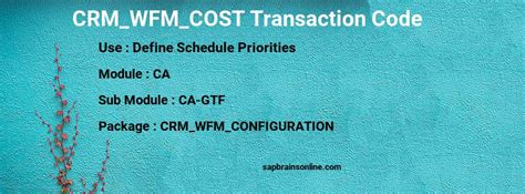 CRM WFM COST SAP Tcode For Define Schedule Priorities