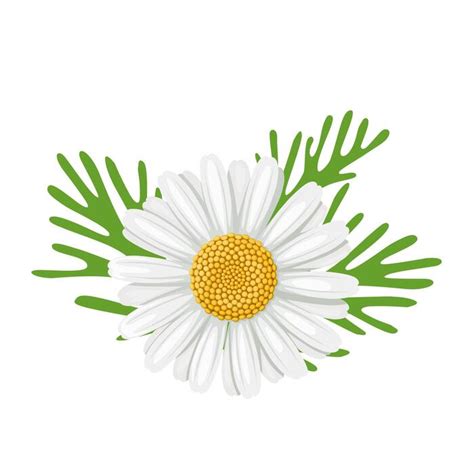 Spanish Flower Clip Art Page 22 Spanish Flower Images Free