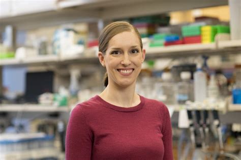 Allison Mayle Sloan Kettering Institute