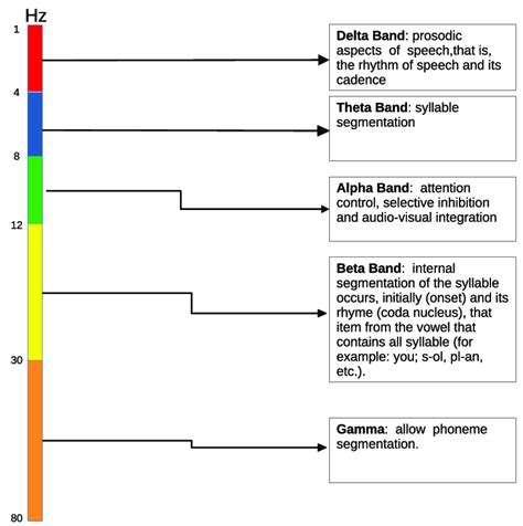 five main electrophysiological eeg frequency bands [39] download