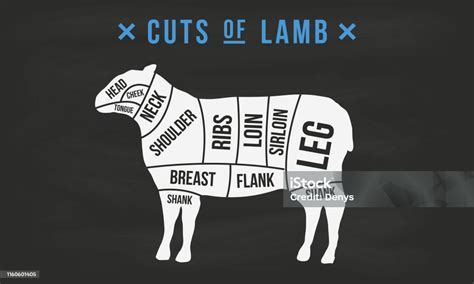 어린 양의 상처 정육점의 가이드 다이어그램 정육점 고기 가게 식료품 점 레스토랑을위한 빈티지 포스터 벡터 일러스트레이션 양고기에