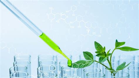 Complementary Base Pairing Definition And Examples Biology Online Dictionary