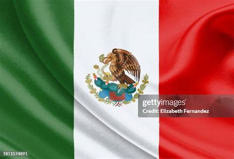 Mexican Flag Eagle