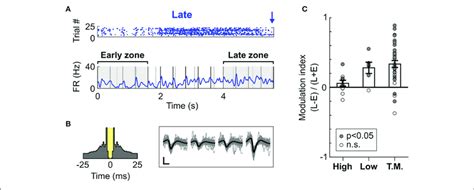 Dynamic Increase In Spiking Activity Prior To Target Occurrence A Download Scientific