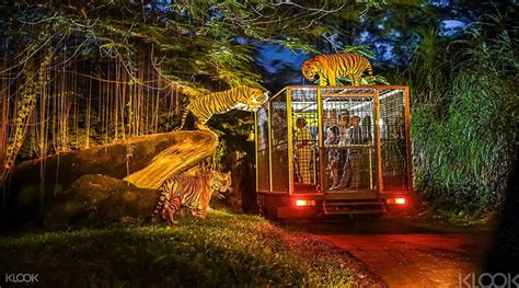 Pesan Bali Safari And Marine Park Tour