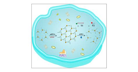 Biomarker Driven Dna Functionalized Colloidal Programmed Simultaneous