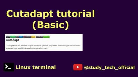 Cutadapt Tutorial 🛠️install 💻 Run 🎓 Paired End Bioinformatics Biology Cutadapt Tutorial 🛠️install 💻 Run 🎓 Paired End Bioinformatics Biology