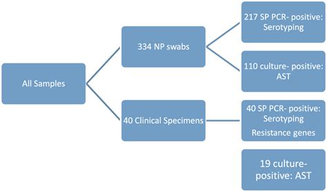 Algorithm For Laboratory Testing Download Scientific Diagram