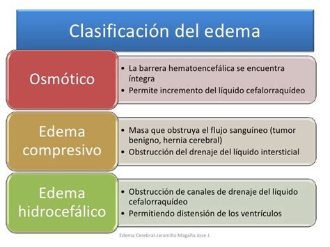 V4 B Signos Y Síntomas Fisiopatología De Los Diferentes Tipos De Ede