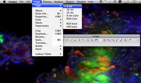 Fiji Imagej Plugin Color Deconvolution Frosdab