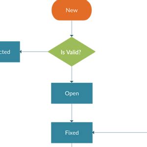 Software Defect Process Flow Sandbull