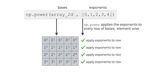 A Quick Introduction To The Numpy Power Function Sharp Sight