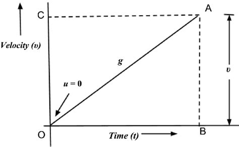 The Area Of The Velocity Time Graph Gives The Objects Displacement Download Scientific Diagram