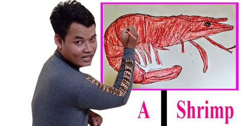 How To Draw Step By Step How To Draw Step By Step How To Draw Shrimp How To Draw Shrimp Step