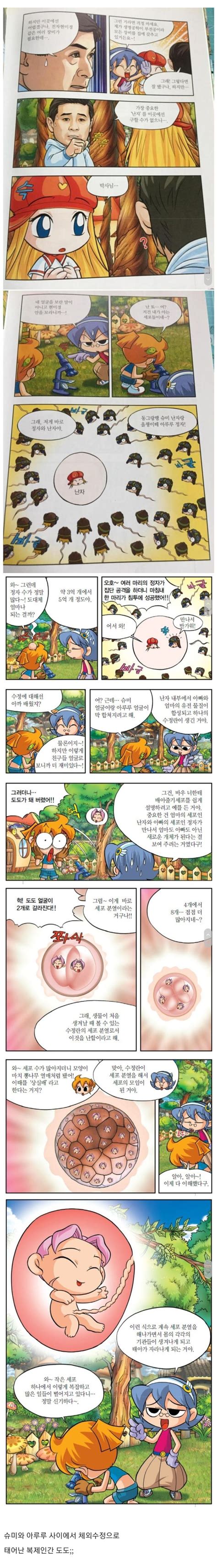 메이플스토리 만화충격적인 뒷이야기슈미 난자 이야기 밈 유머 유머 이야기