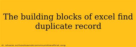 The Building Blocks Of Excel Find Duplicate Record