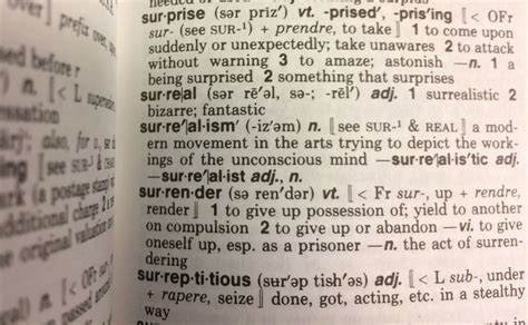merriam webster just added 1 000 new words to the dictionary new