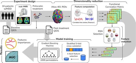 Dr Zohreh Majd On Linkedin Predicting The Outcome Of Psilocybin