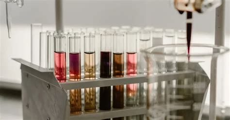 Info Science Vs Computer Science A Detailed Comparison Jamie Foster Science