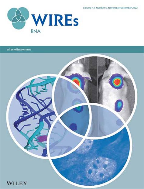 Subcellular Distribution Localization And Function Of Noncoding Rnas Sang 2022 Wires Rna