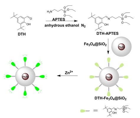 Syntheses Of Dth Aptes And Dth Fe3o4 Sio2 Download Scientific Diagram