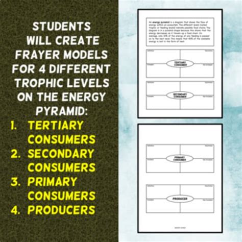 Energy Pyramid Foldable Great For Interactive Notebooks By Morpho Science