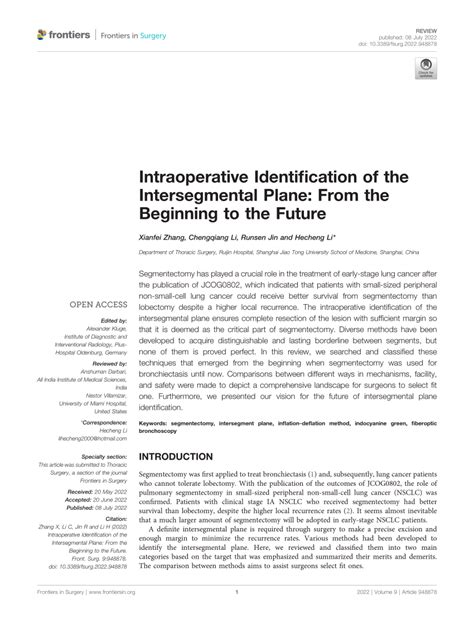 Pdf Intraoperative Identification Of The Intersegmental Plane From The Beginning To The Future