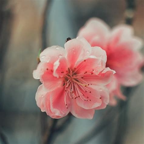 Просто объясняю Youtube