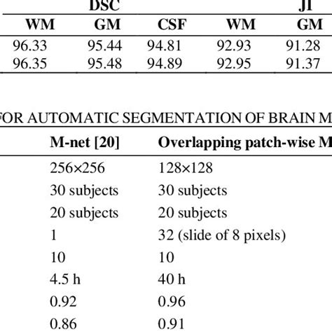 Effects Of Different Patch Sizes On Segmentation Performance In Terms