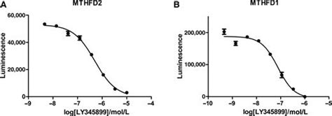 Crystal Structure Of The Emerging Cancer Target Mthfd2 In Complex With