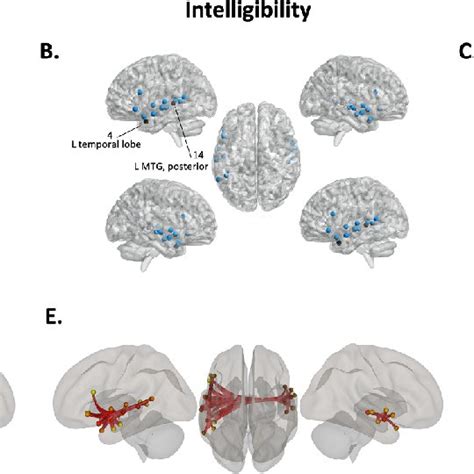 Rois Used For The Rs Functional Connectivity And Their Networks Across Download Scientific
