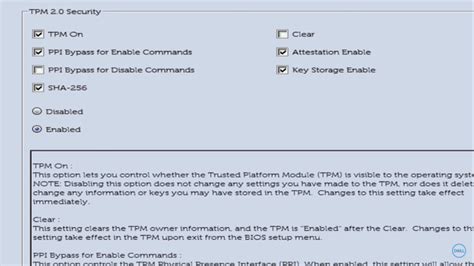 Unique Ways To Clear Tpm Don T Waste Time Tools Pond