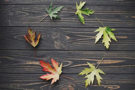 3 Functions Within Life Cycles Of An Organization