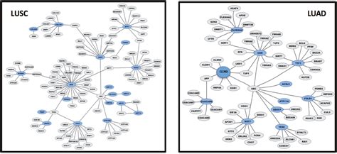 distinct lung cancer subtypes associate to distinct drivers of tumor
