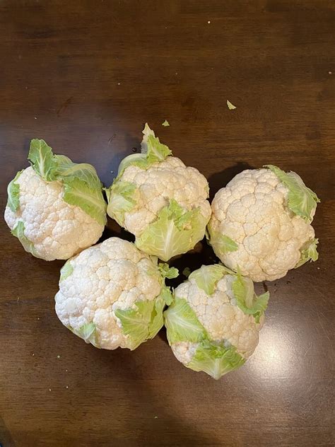 Picasso — Eat Winter Vegetables