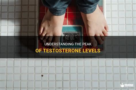 Understanding The Peak Of Testosterone Levels Medshun