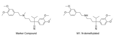 Metabolite Identification Technical Resource