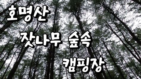 첫 백패킹 호명산 가다 백패킹 우중백패킹 비오는날 호명산 가평 Youtube