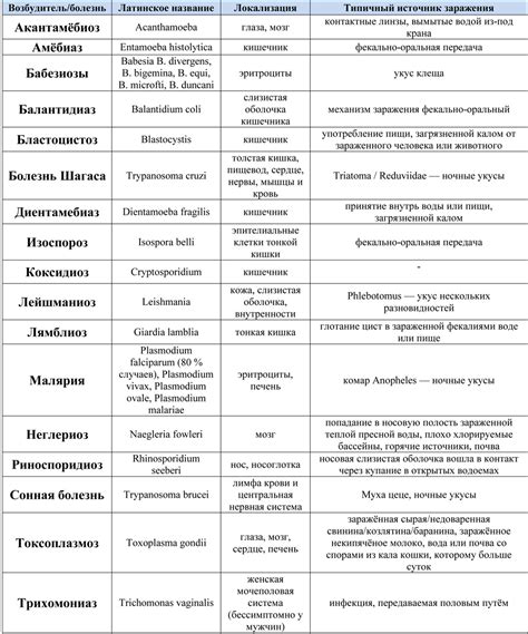 Паразиты человека: симптомы и лечение глистов приборами биорезонансной ...