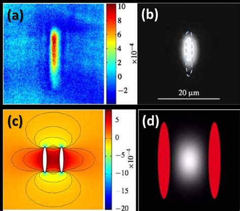 Refractive Index Distribution Of Waveguides Written Inside Linbo3 With Download Scientific