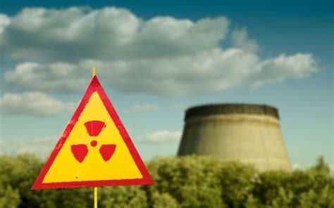 Radiation Paradox Scientists Discover Nematodes Thriving In Chernobyl