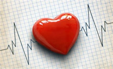 How To Effectively Lower Apolipoprotein B Apob Levels For Better Heart Health