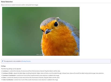 Denoise Filter Doesnt Work V1 Bugs Found On Windows Affinity Forum