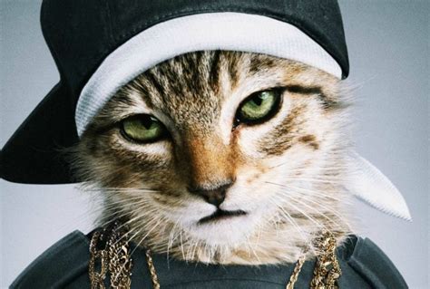 Film Review Keanu 2016 Cultured Vultures